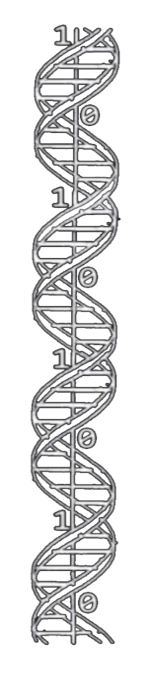 Welcome to BioCoding | [“BioCoding 2021”]